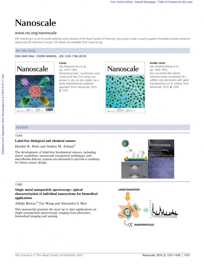 Electrochemically powered self-propelled electrophoretic nanosubmarines ...