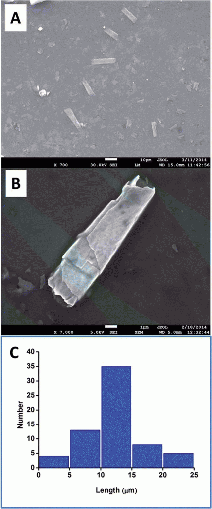 Tissue cell assisted fabrication of tubular catalytic platinum ...
