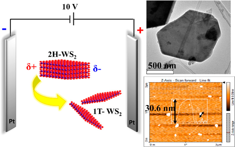 2H -> 1T Phase Change in Direct Synthesis of WS2 Nanosheets via ...