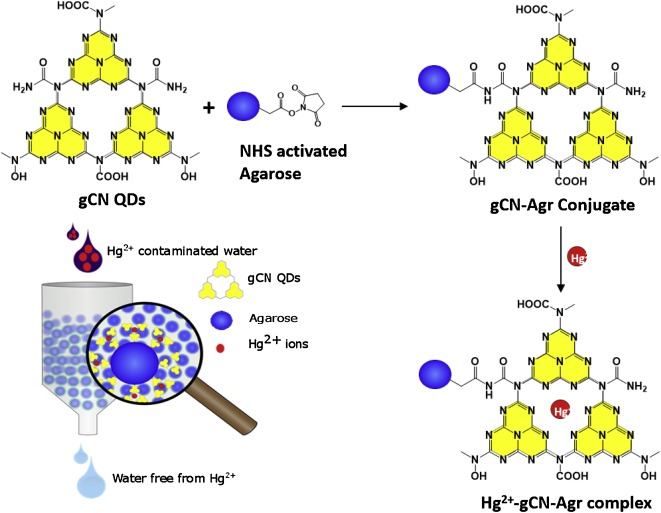 Graphitic carbon nitride: Effects of various precursors on the ...