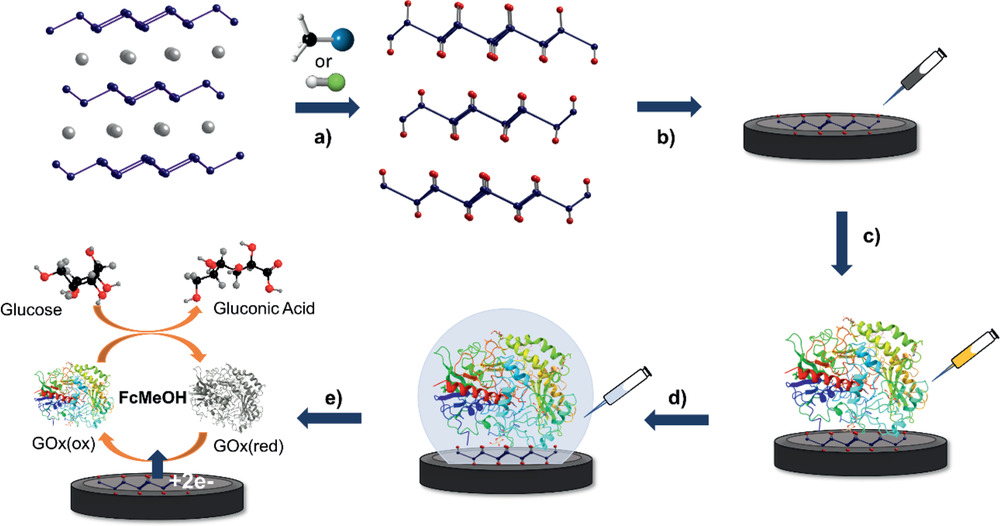 Functionalized 2D Germanene and Silicene Enzymatic System | The ...