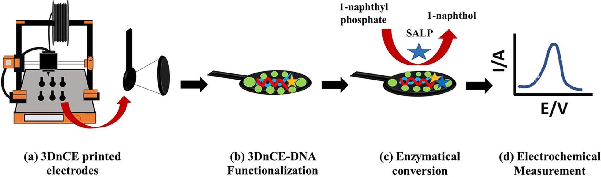 Genosensing on a 3D-printed nanocarbon electrode | The Nanorobots ...