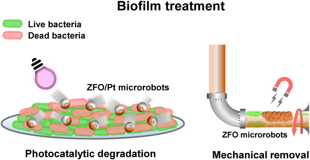 Active Microrobots for Dual Removal of Biofilms via Chemical and ...