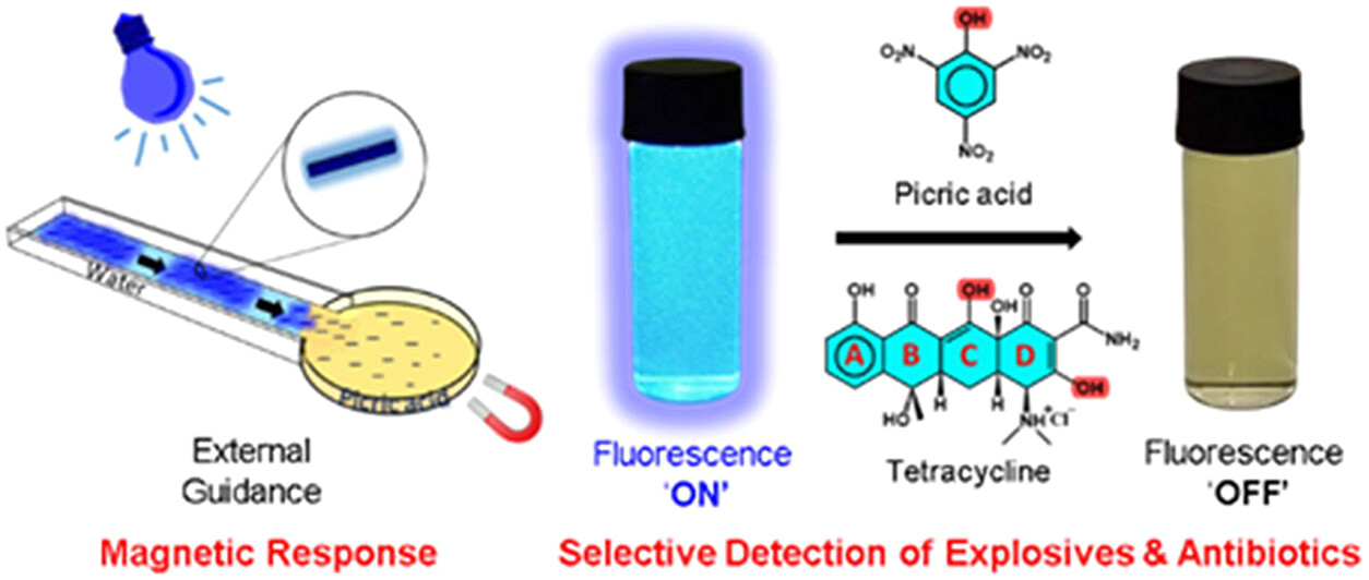 Magneto-Fluorescent Microrobots with Selective Detection Intelligence ...